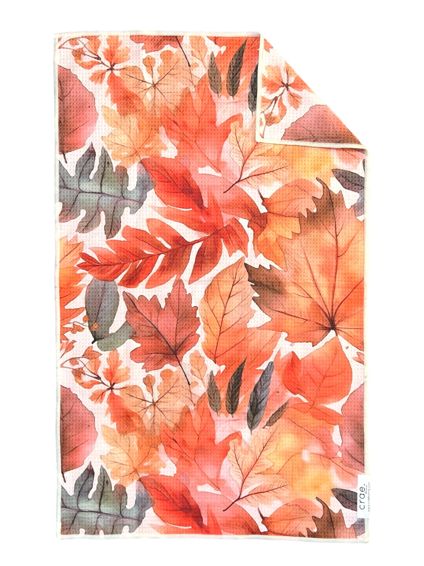 Fall Collection – crae.